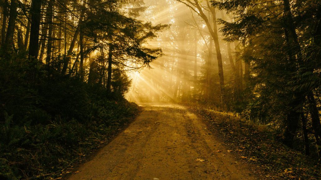 In light & Darkness – a lifelong journey on one everchanging path ...