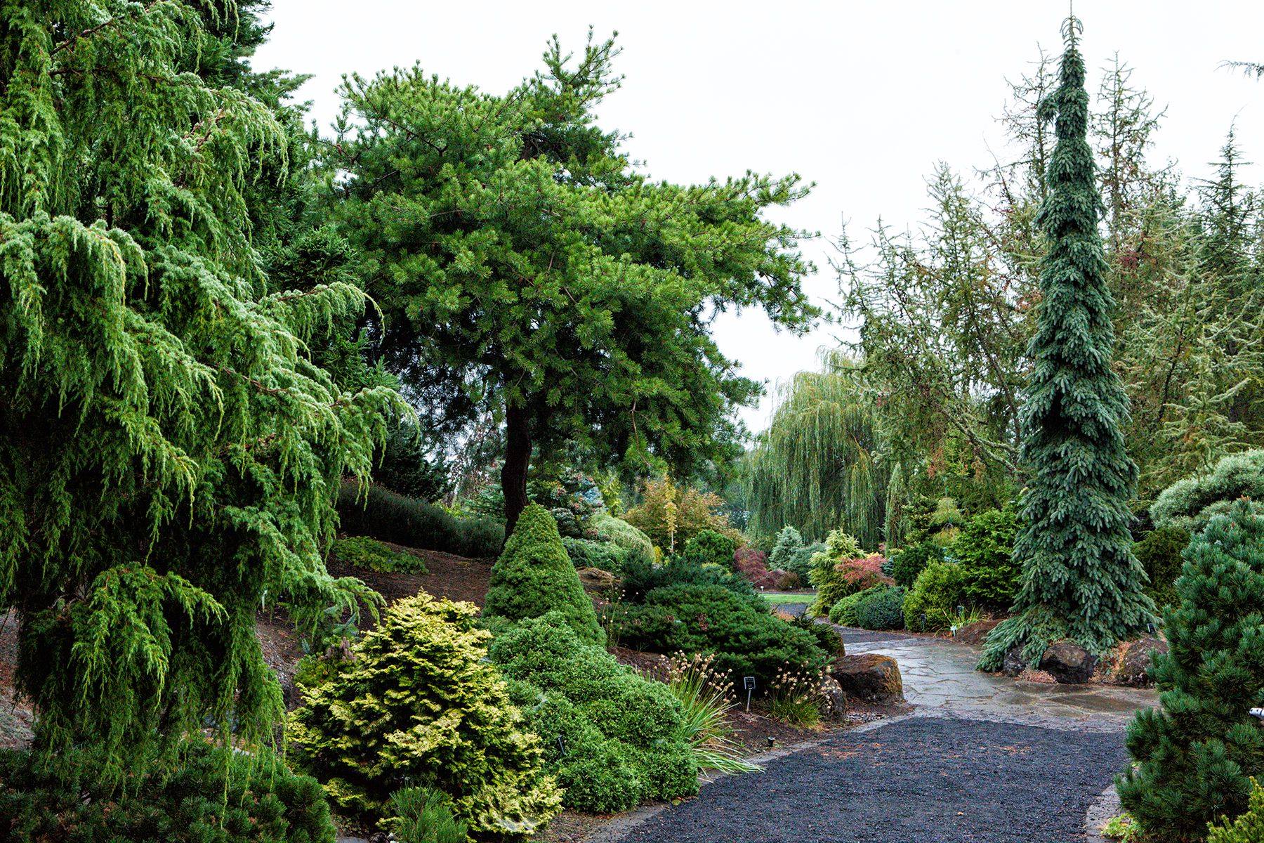A Walk in the Garden – a guest Blog from Jeff Sargent, Holy Cross ...